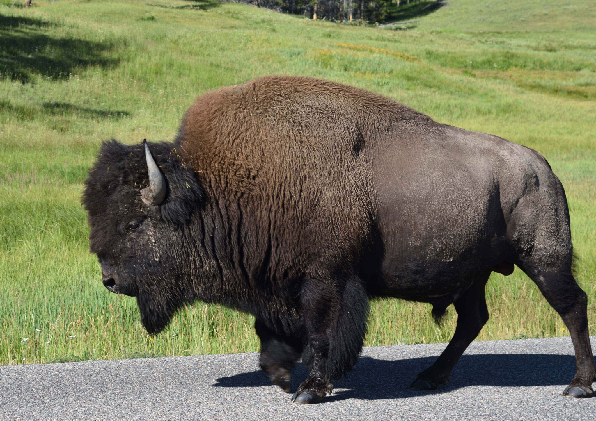 Beautiful River or Moncacht-Ape’ – The Northwest Experience